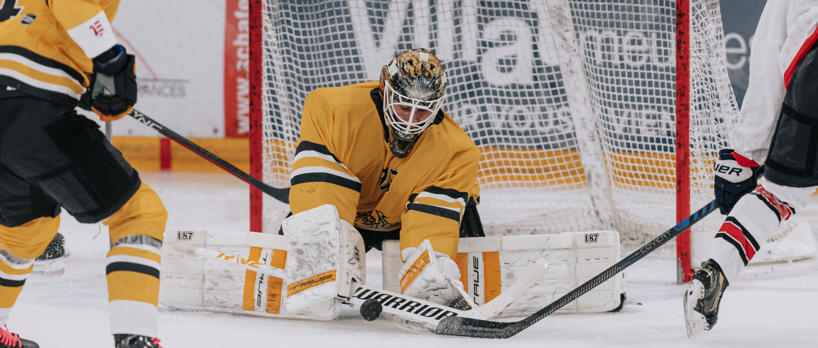 HC Ajoie | Site Officiel Hockey Club Ajoie